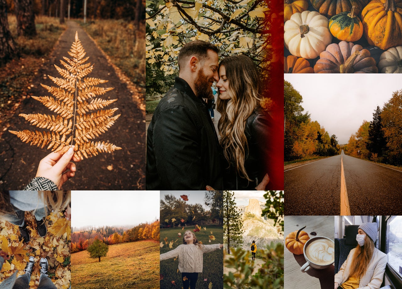 Organize Your Fall Photos Into the Perfect Collage with our Collage ...
