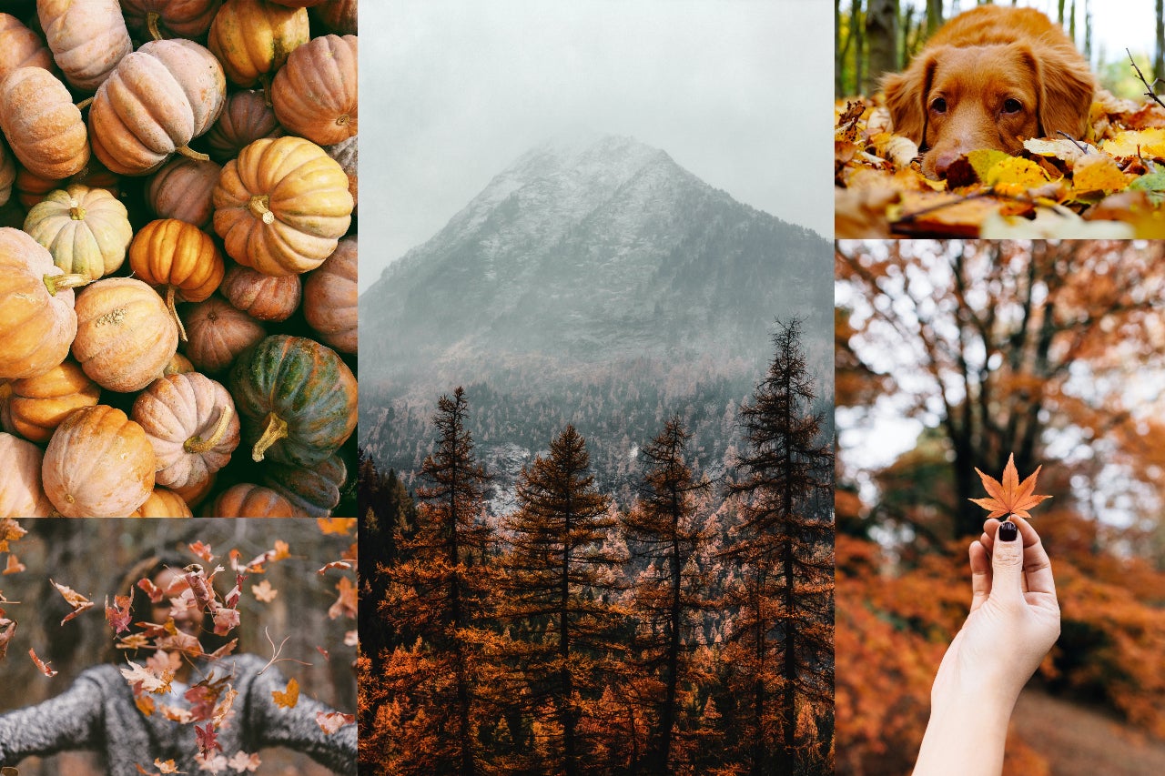 Organize Your Fall Photos Into the Perfect Collage with our Collage ...