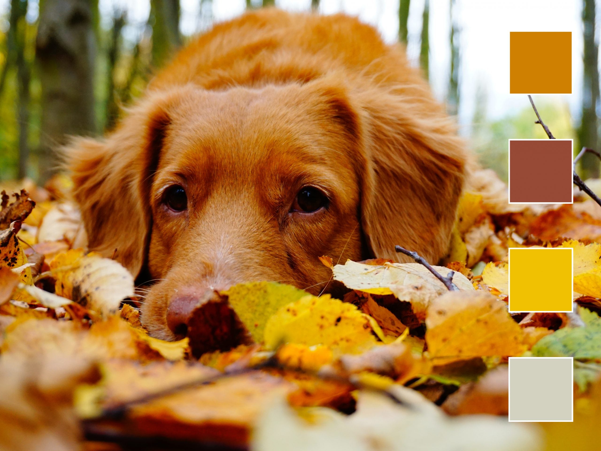 How to Edit the Temperature of Your Image With Color Grading | Learn ...