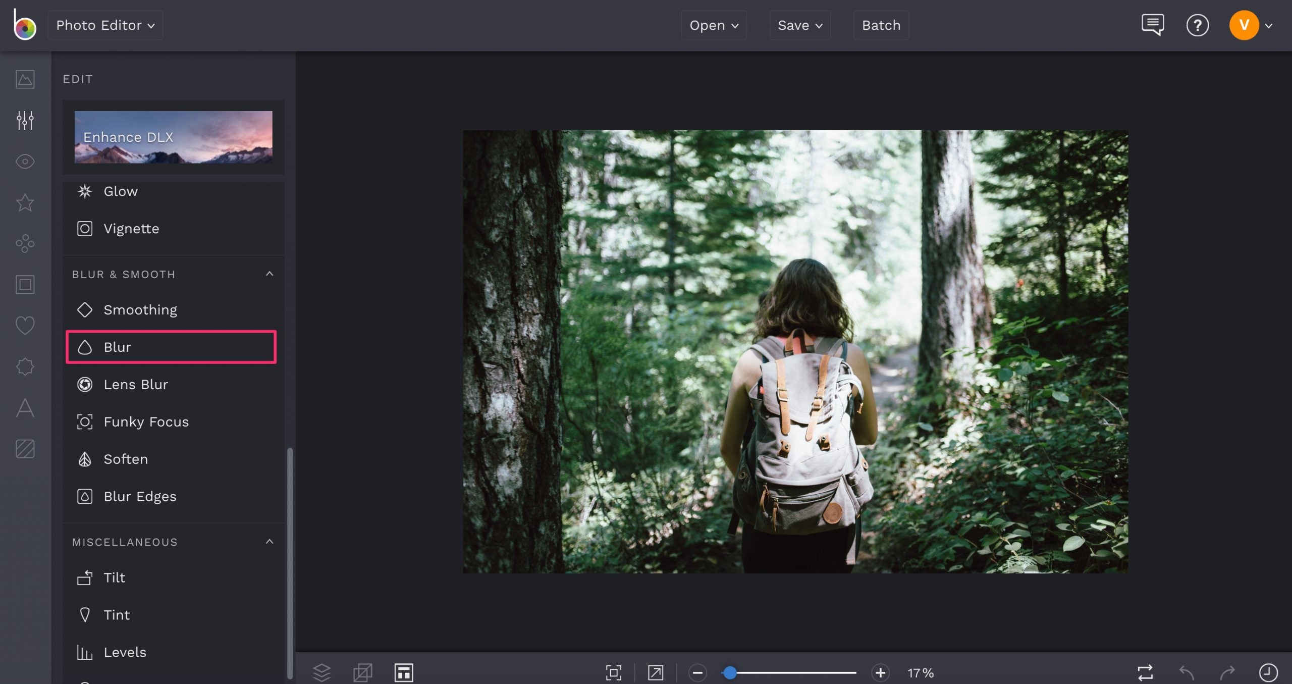 5 Tools To Blur Images The Way You Want | Learn BeFunky