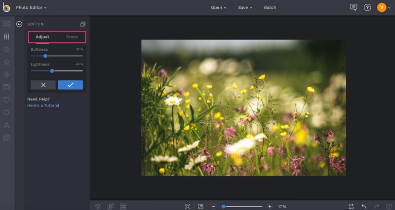 5 Tools To Blur Images The Way You Want | Learn BeFunky