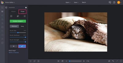 Bring Clarity To Your Photos With Sharpen | Learn BeFunky