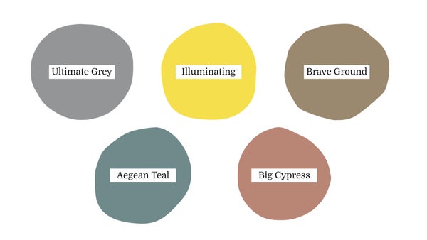 2021’s Trending Colors and How to Use Them in Your Designs | Learn BeFunky