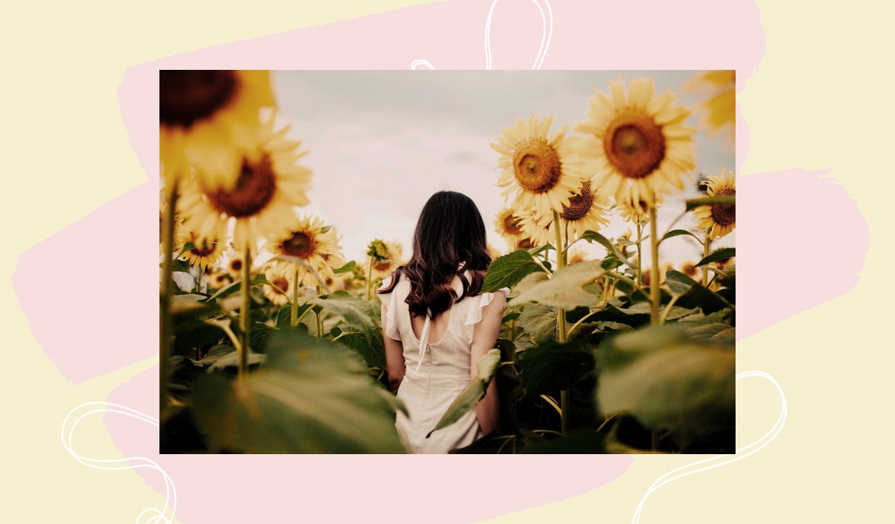 Basic Photo Editing | Learn BeFunky