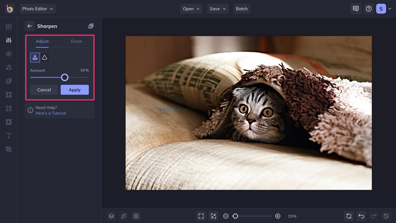 How to Sharpen and Clarify Your Photos | Learn BeFunky