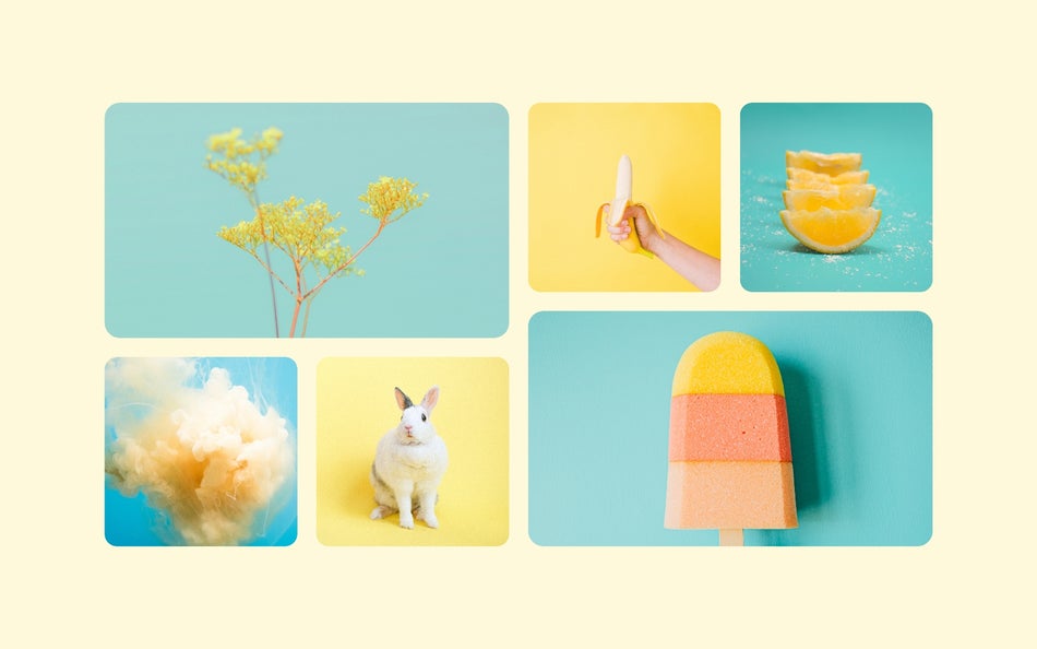 All About BeFunky Plus | Learn BeFunky