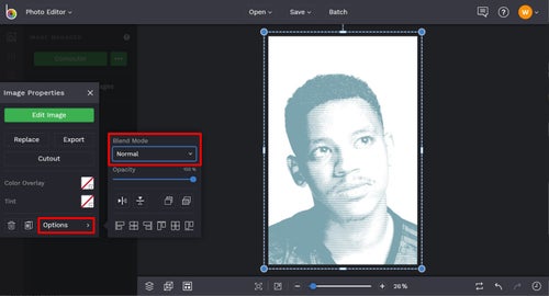 How to Make Your Own Shepard Fairey Hope Poster | Learn BeFunky