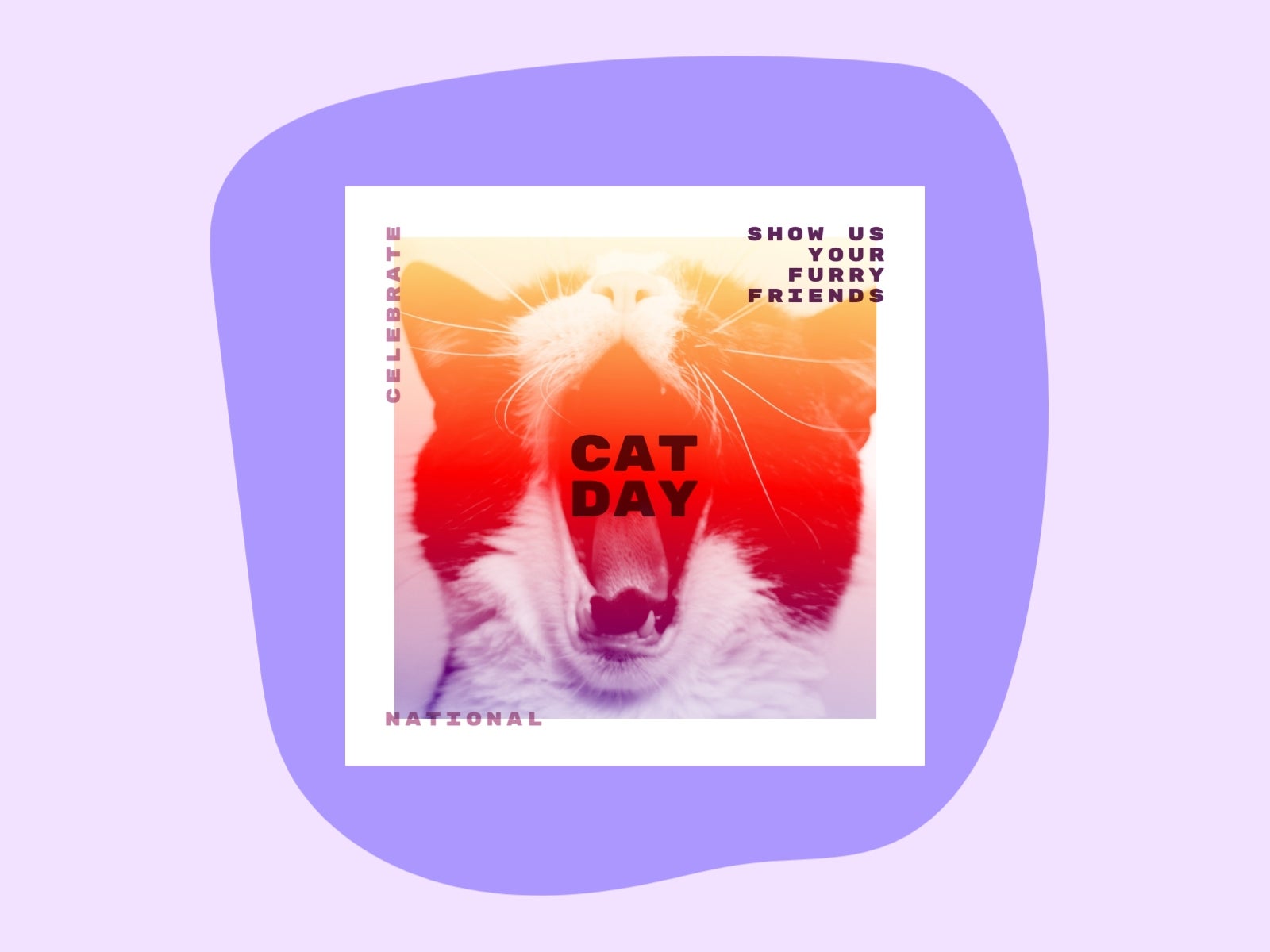 Our New Instagram Post Templates | Learn BeFunky