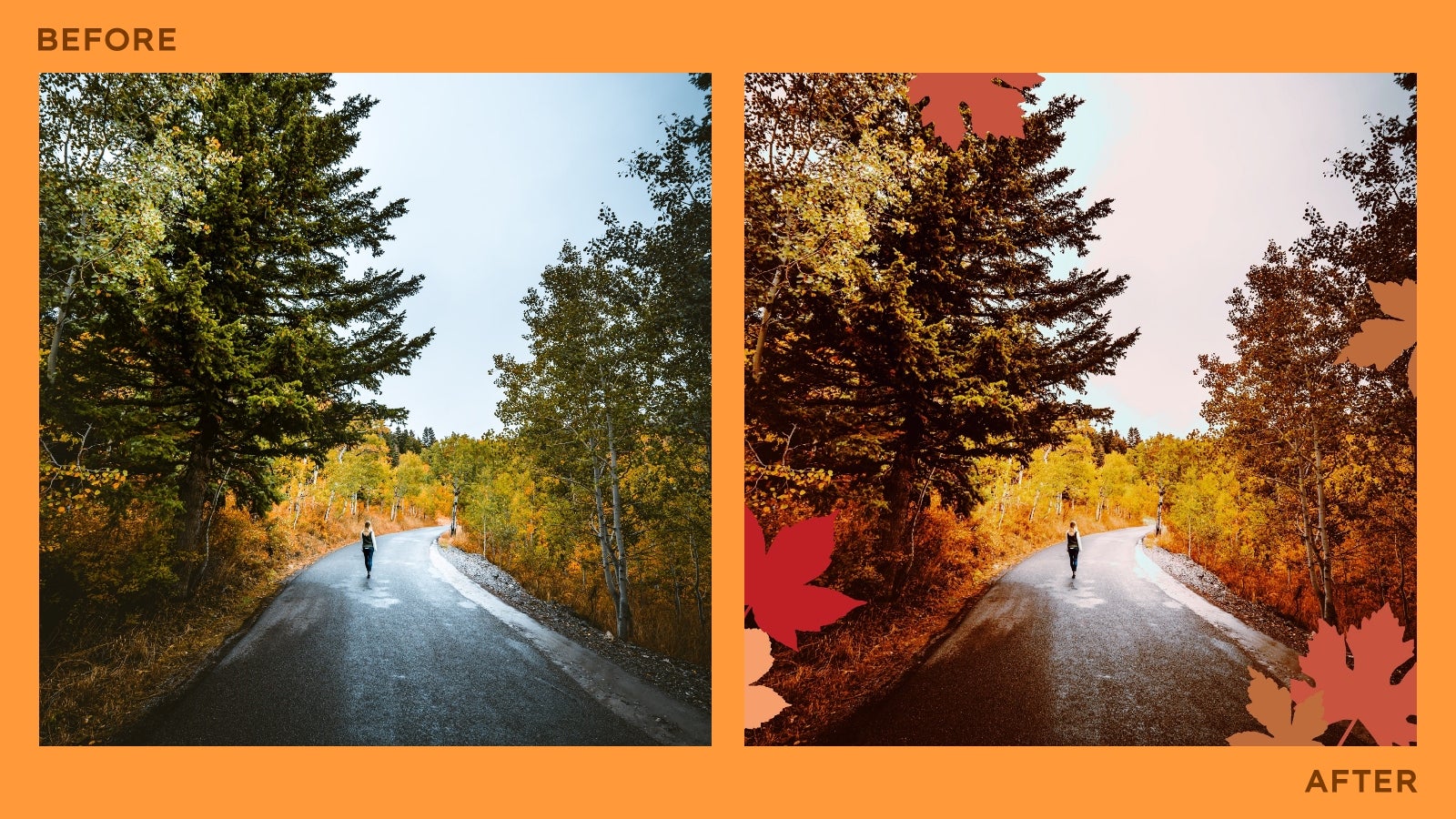 Capture the Feeling of Fall in Your Instagram Feed | Learn BeFunky