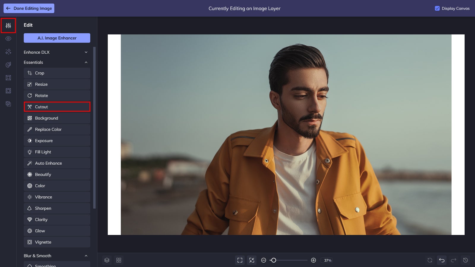 Create Unique Backgrounds With Stock Images | Learn BeFunky