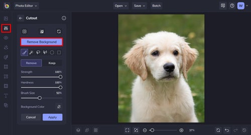 How to Make a Digital Pet Portrait | Learn BeFunky