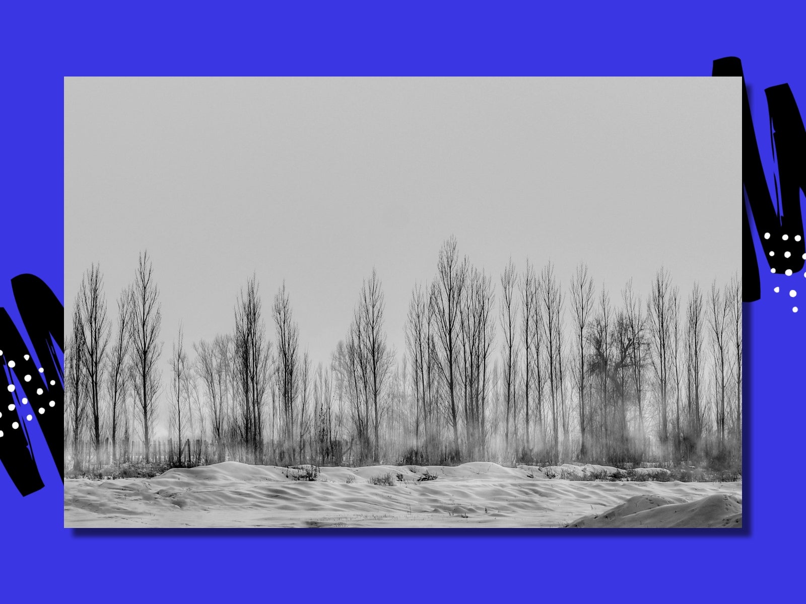 4 Amazing Effects to Winterize Your Photos | Learn BeFunky