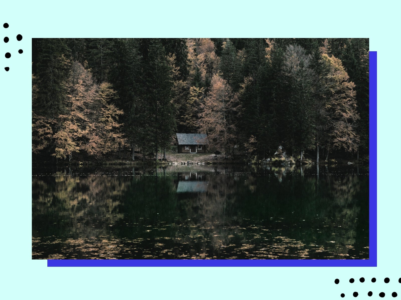 4 Amazing Effects to Winterize Your Photos | Learn BeFunky