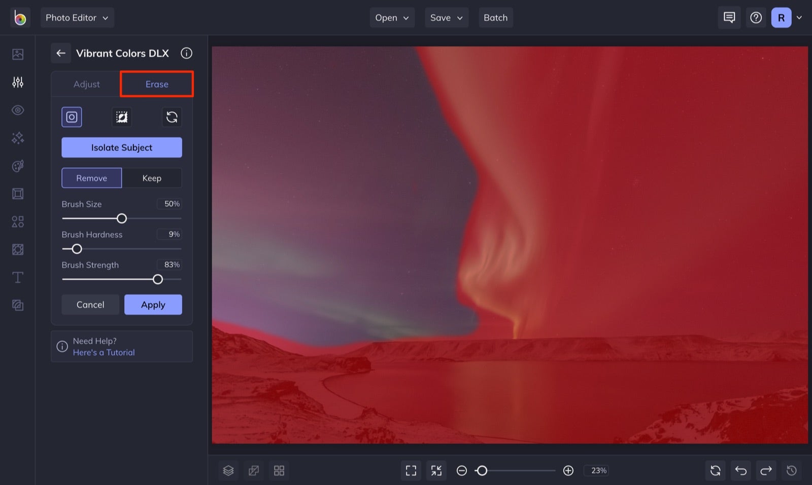 How to Enhance Colors in Your Photos Without Oversaturating | Learn BeFunky