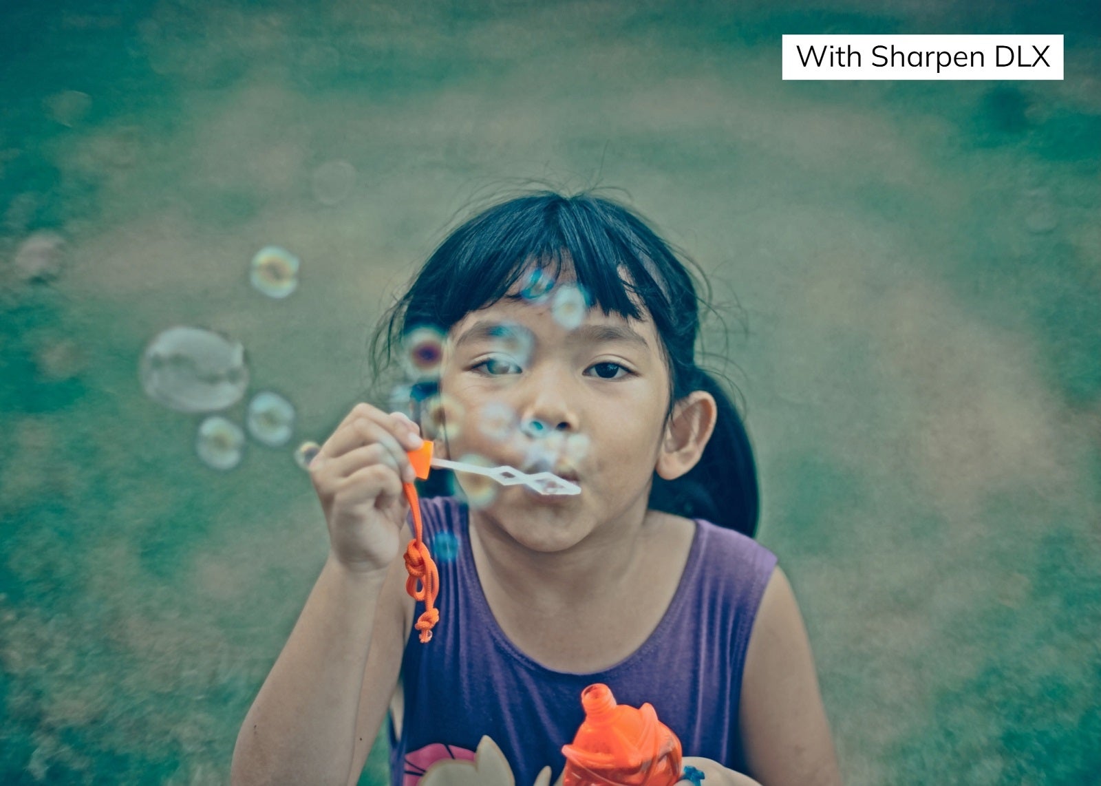 How to Enhance a Photo With Sharpen DLX | Learn BeFunky