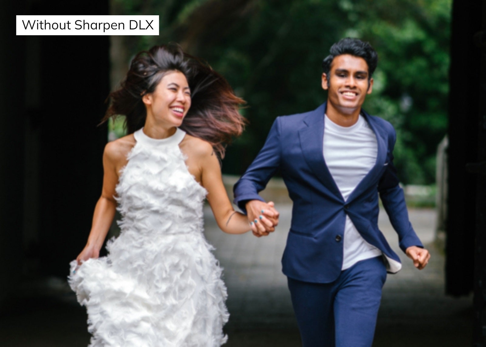 How to Enhance a Photo With Sharpen DLX | Learn BeFunky