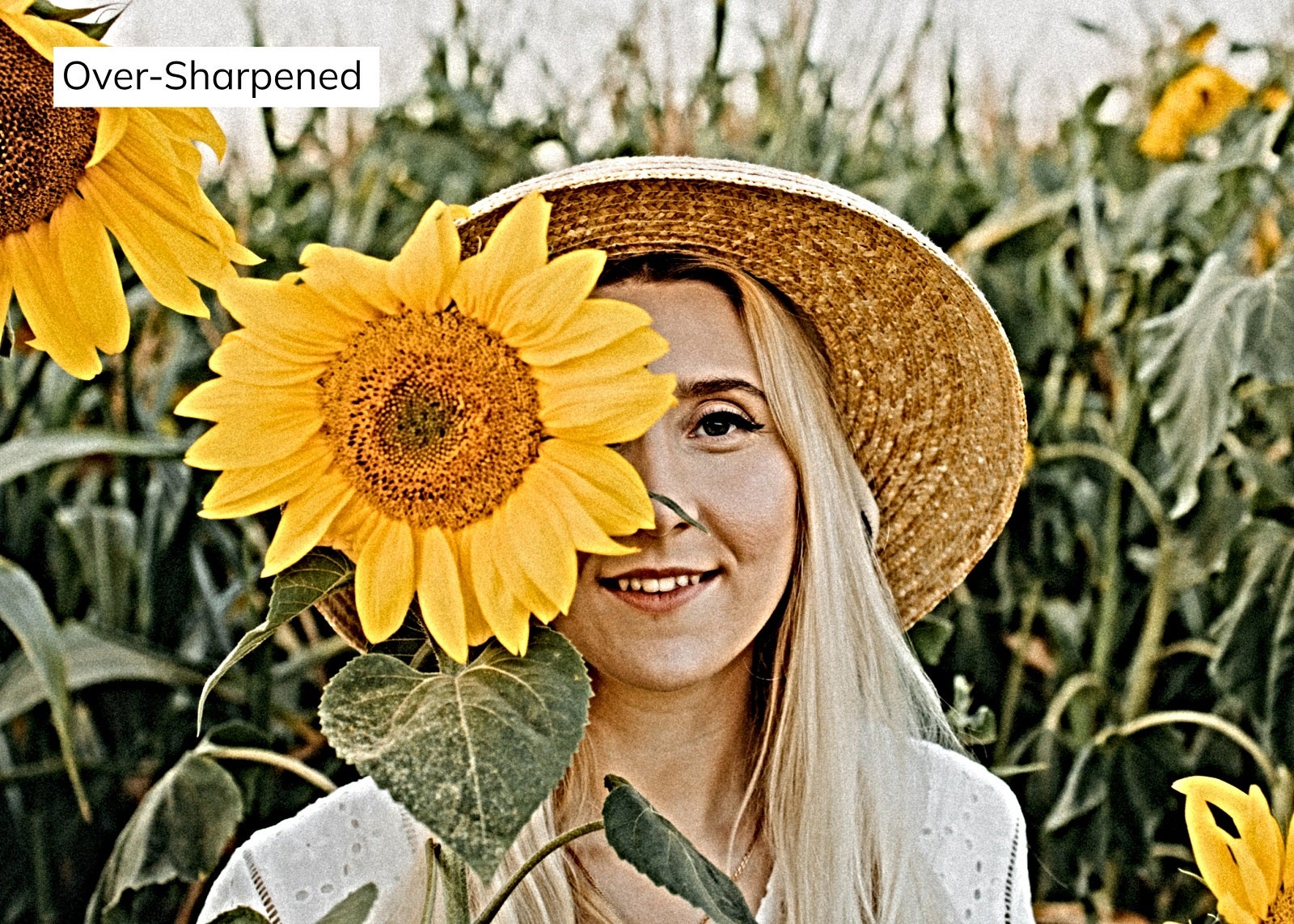How to Enhance a Photo With Sharpen DLX | Learn BeFunky