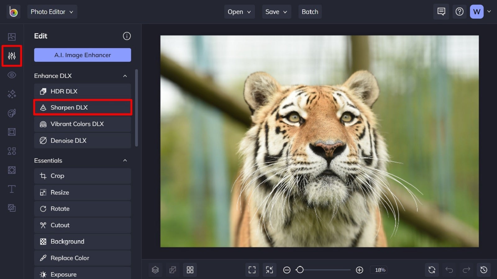 How to Enhance a Photo With Sharpen DLX | Learn BeFunky