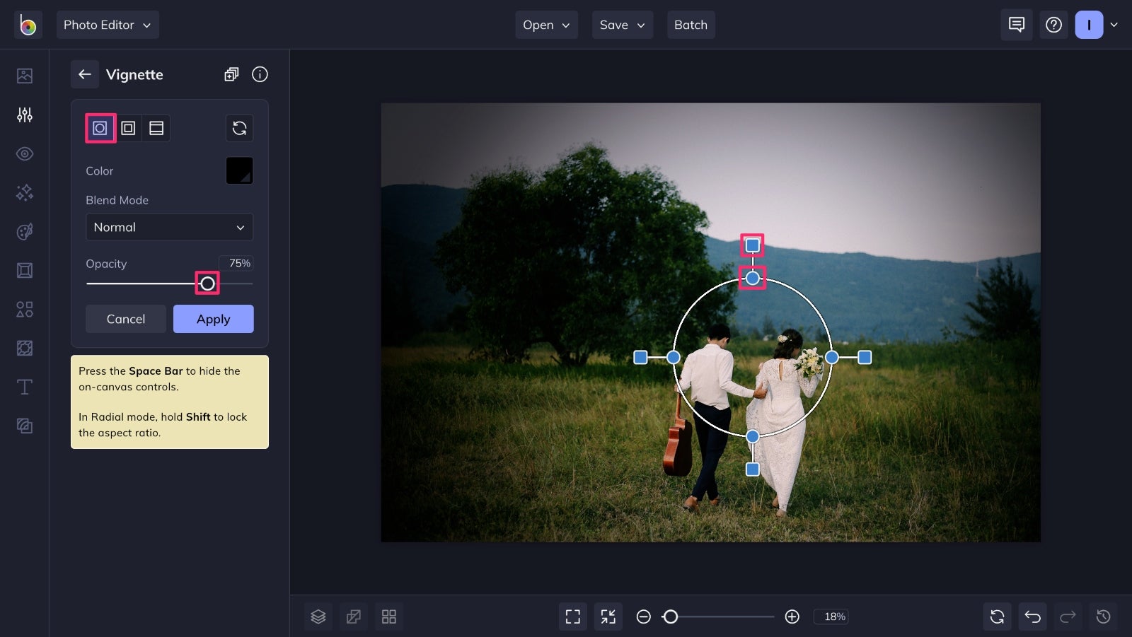 Your Ultimate Guide to Vignette Effects | Learn BeFunky