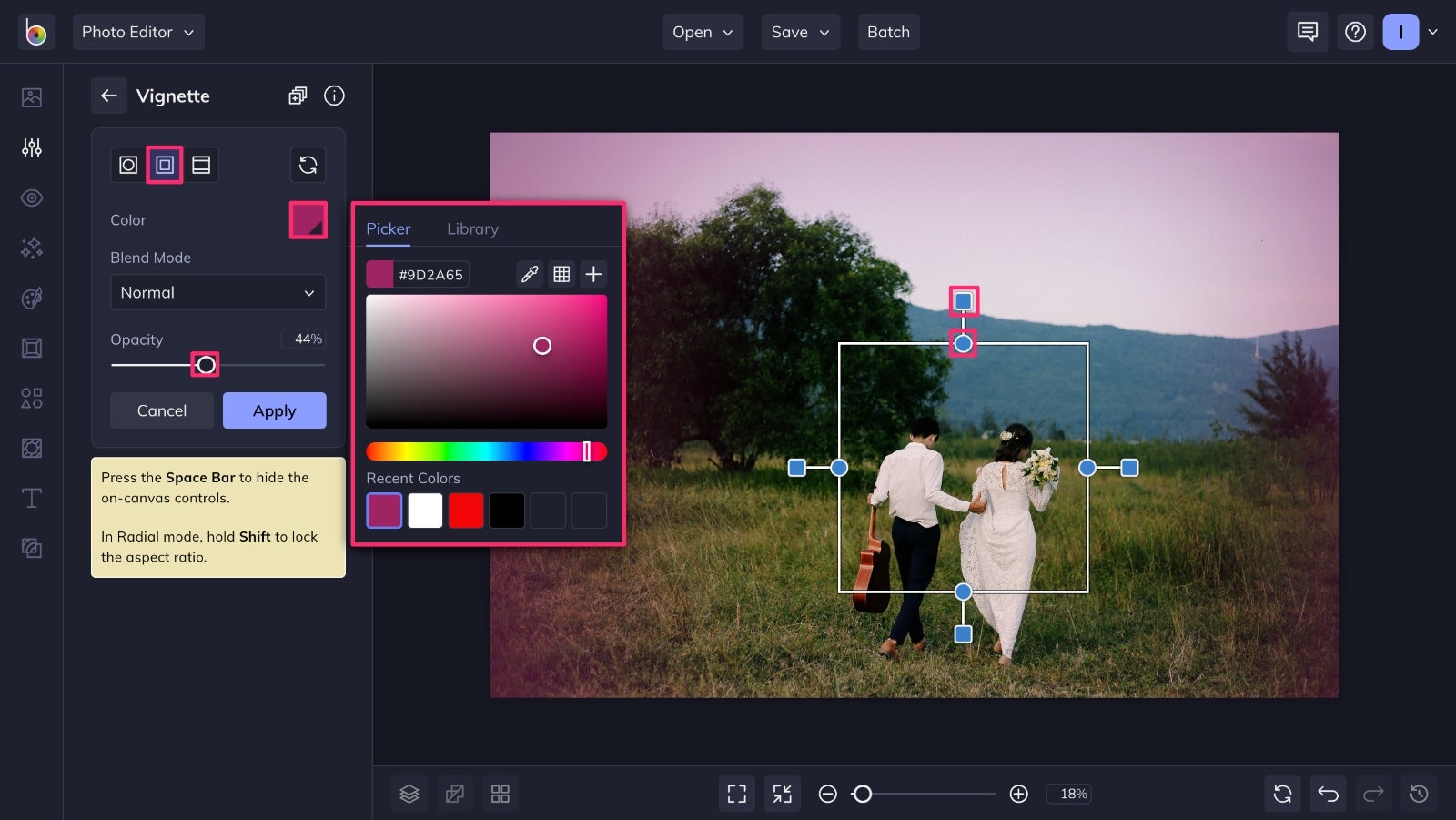 Your Ultimate Guide to Vignette Effects | Learn BeFunky