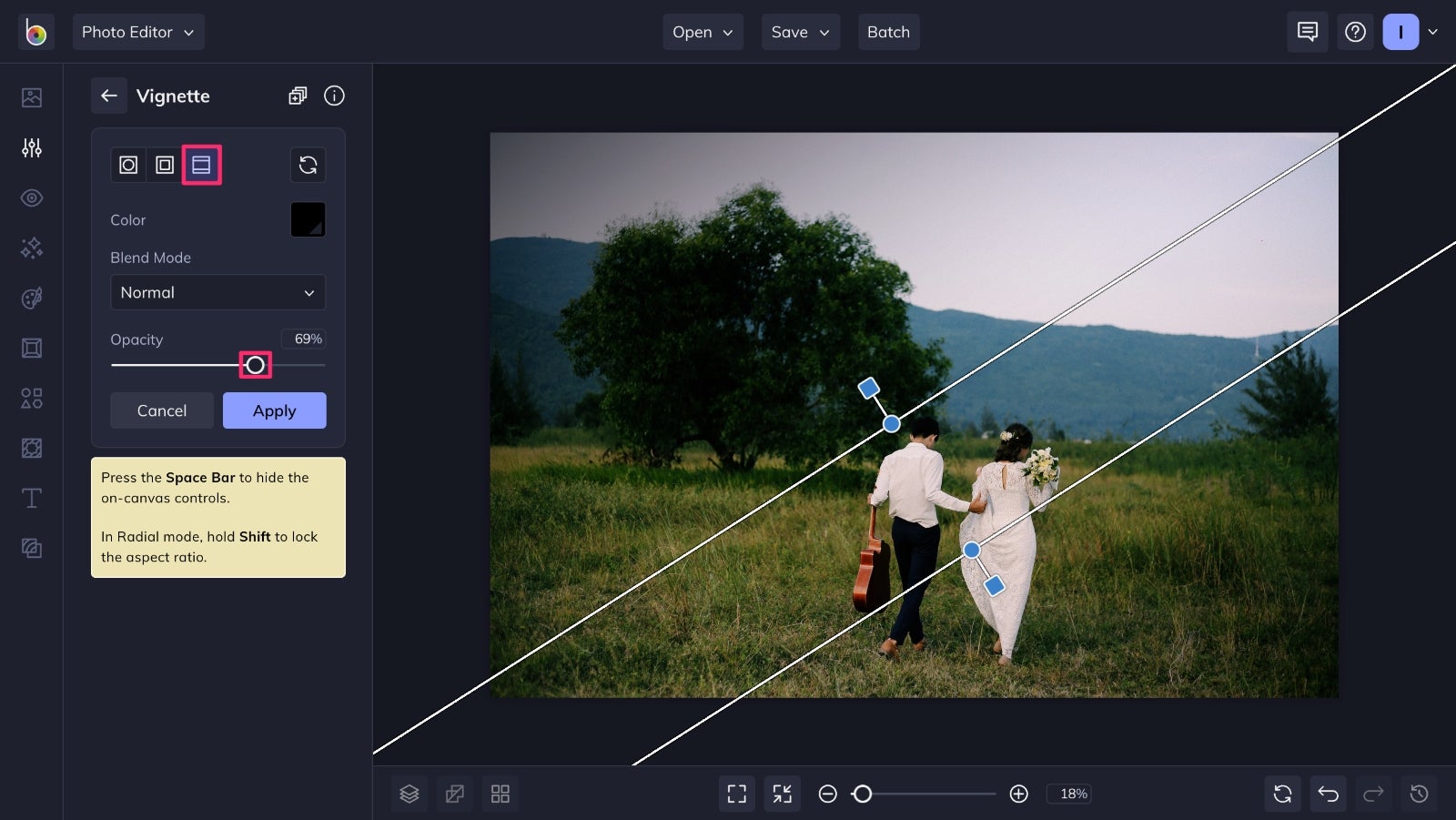 Your Ultimate Guide to Vignette Effects | Learn BeFunky