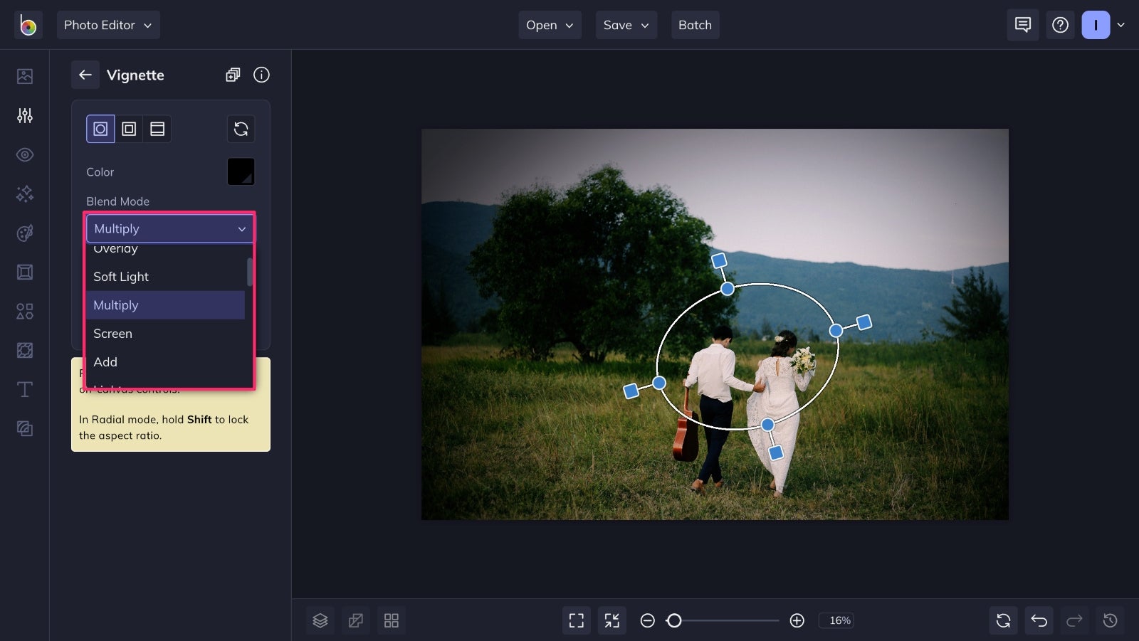 Your Ultimate Guide to Vignette Effects | Learn BeFunky