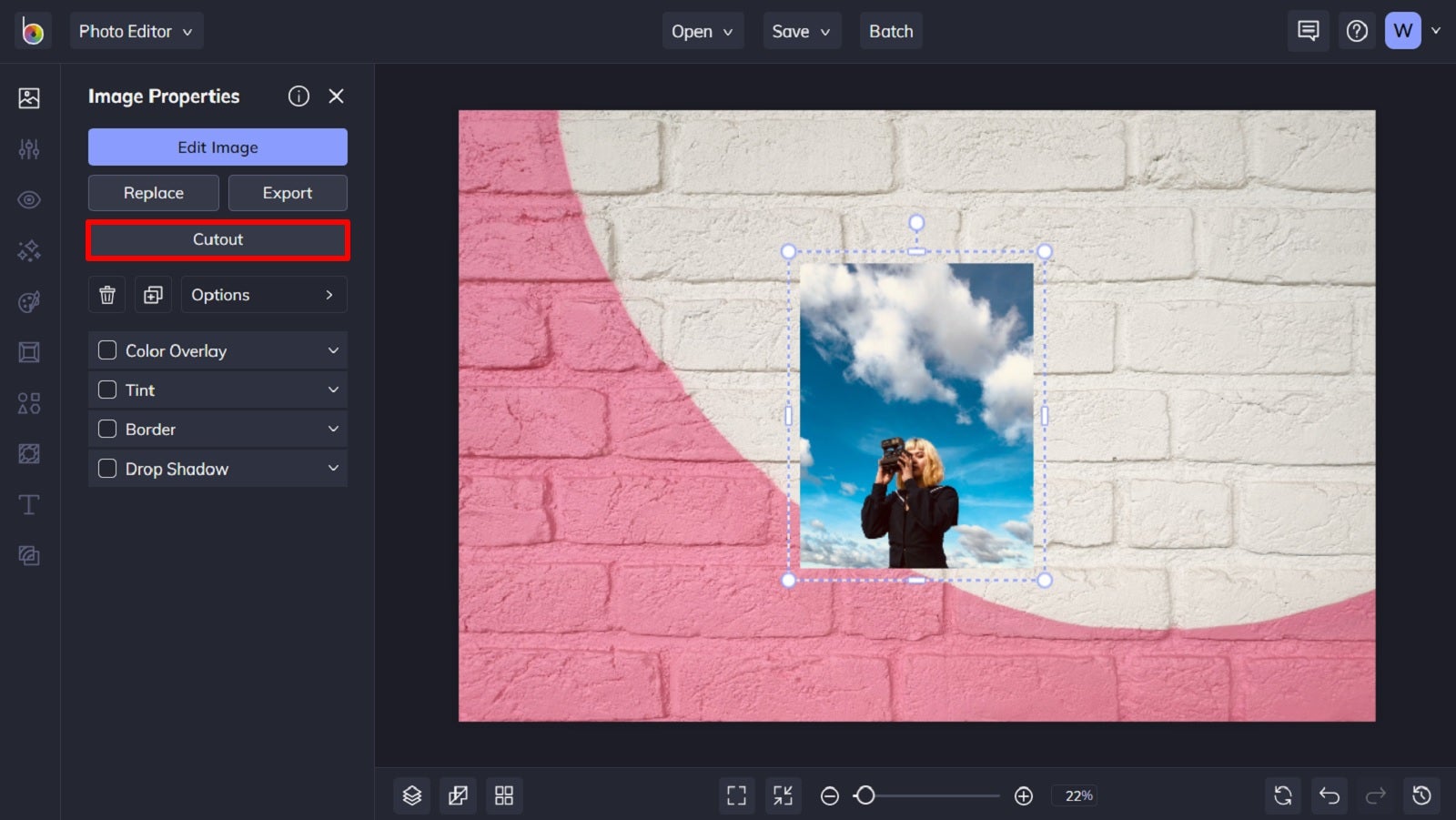 How to Cut Out Photos and Replace Backgrounds | Learn BeFunky