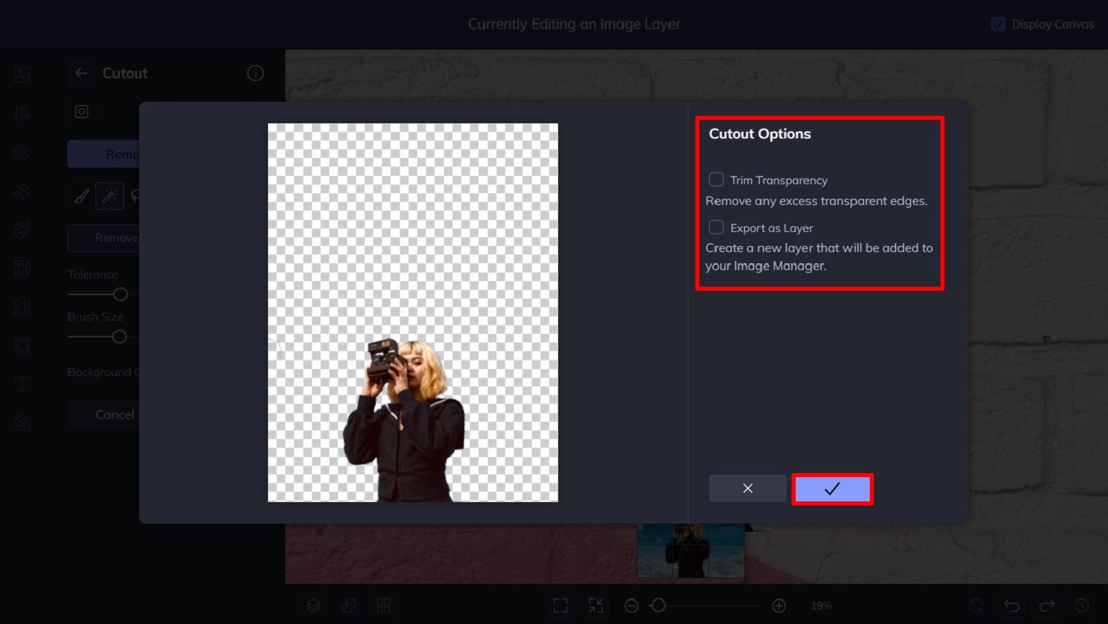 How to Cut Out Photos and Replace Backgrounds | Learn BeFunky
