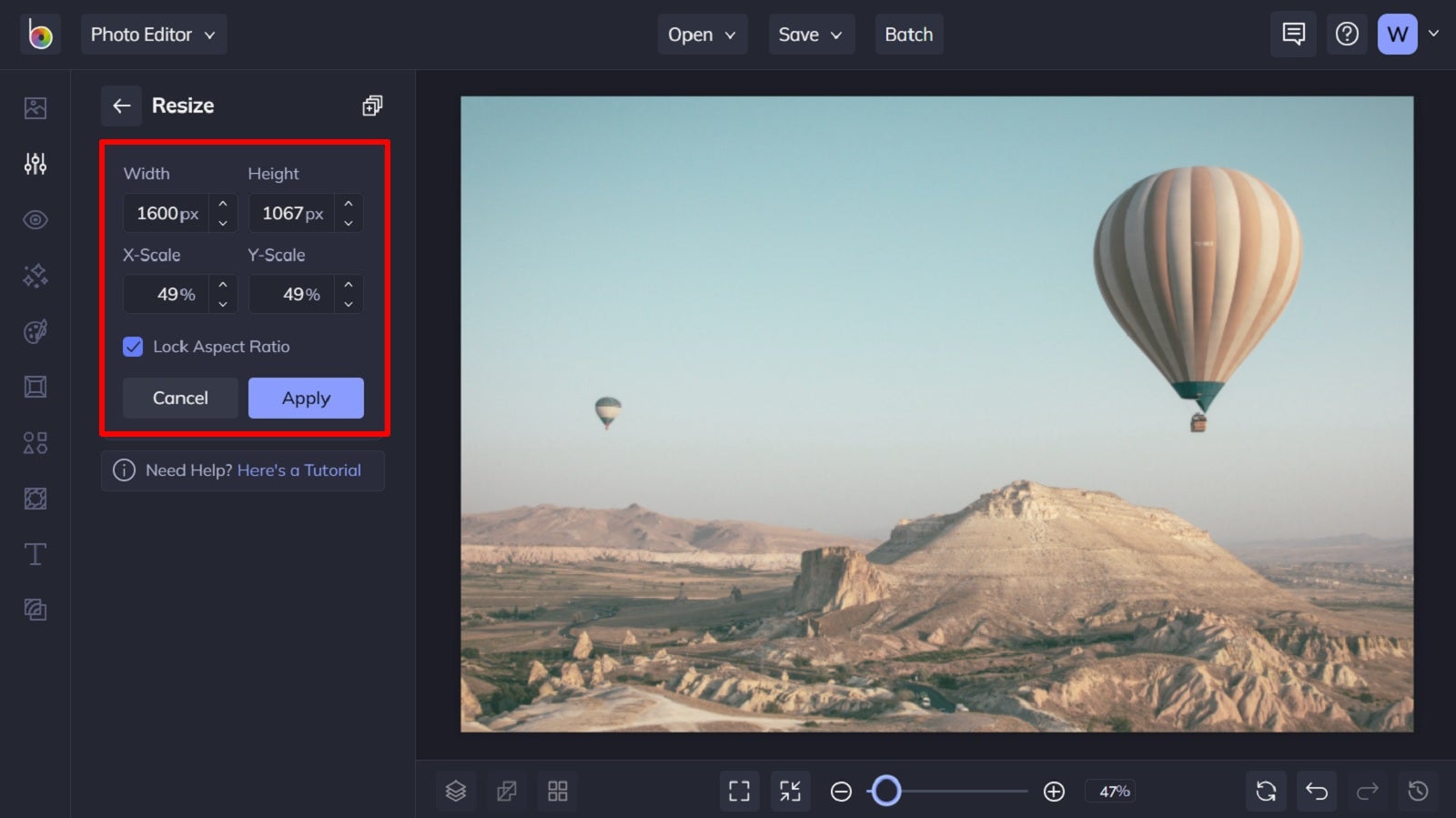 Photo Editing 101: Top 5 Problems and Solutions | Learn BeFunky