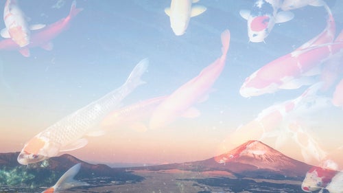 The Ultimate Guide to Using Blend Modes In Photo Editing | Learn BeFunky