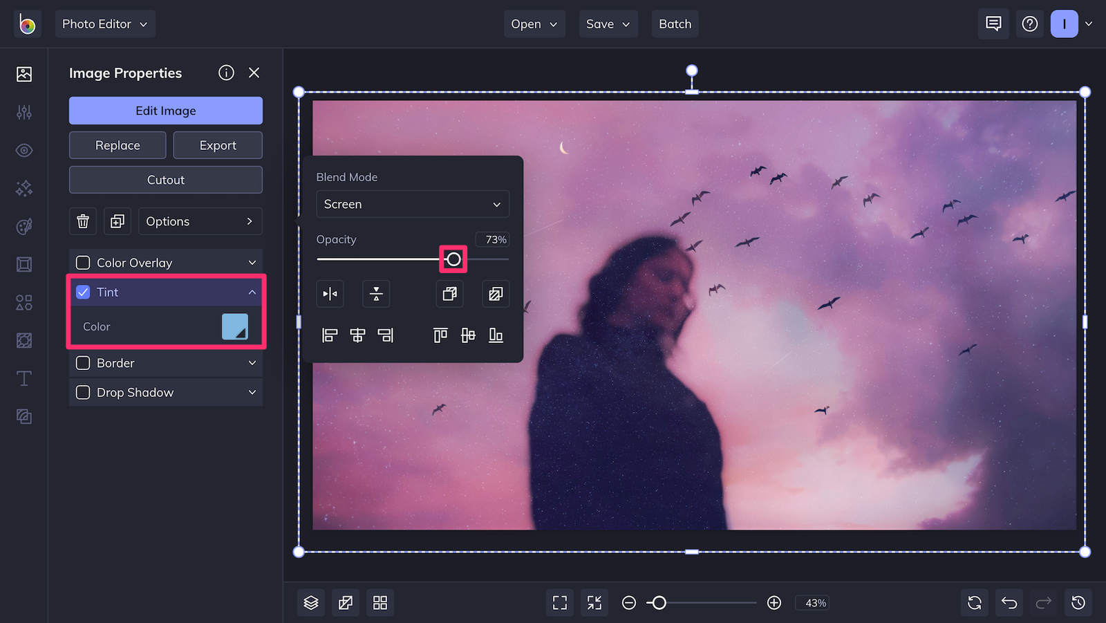 The Ultimate Guide to Using Blend Modes In Photo Editing | Learn BeFunky