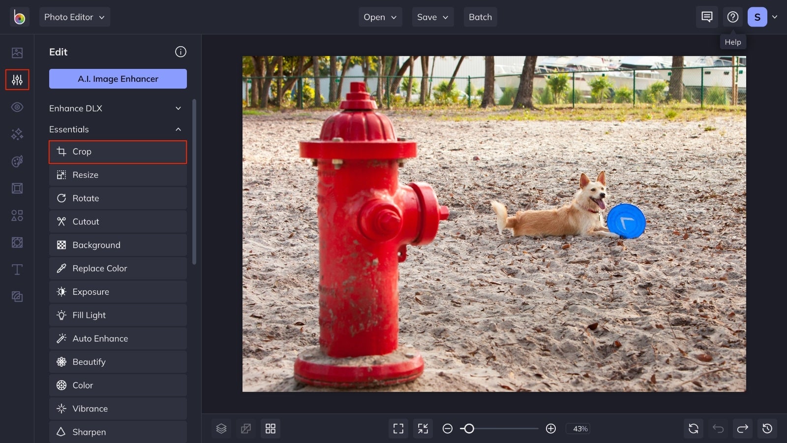 Perfect Composition With BeFunky’s Crop Tool | Learn BeFunky