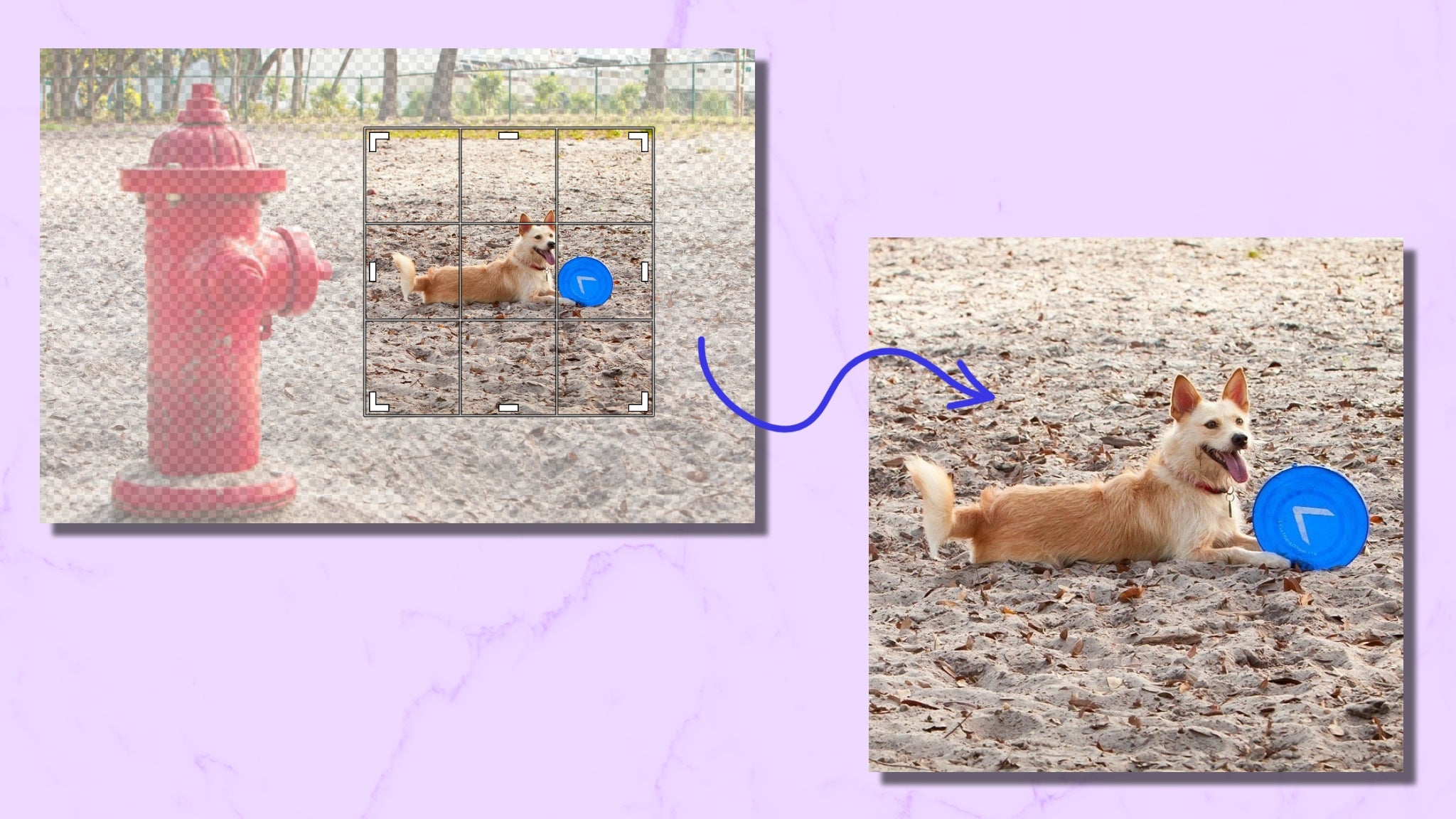 Perfect Composition With BeFunky’s Crop Tool | Learn BeFunky