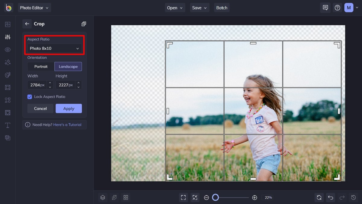 Your Master Guide to Cropping and Resizing Images | Learn BeFunky