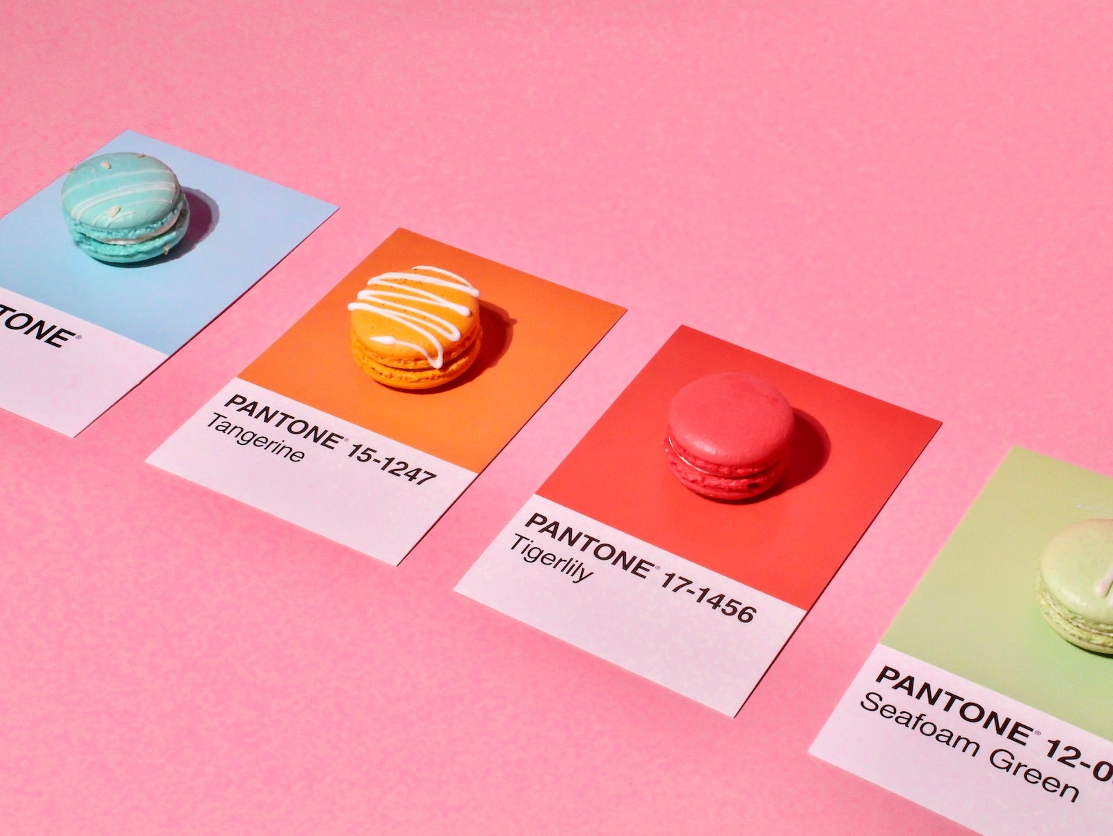 Master Your Graphic Designs With HEX Color Codes | Learn BeFunky