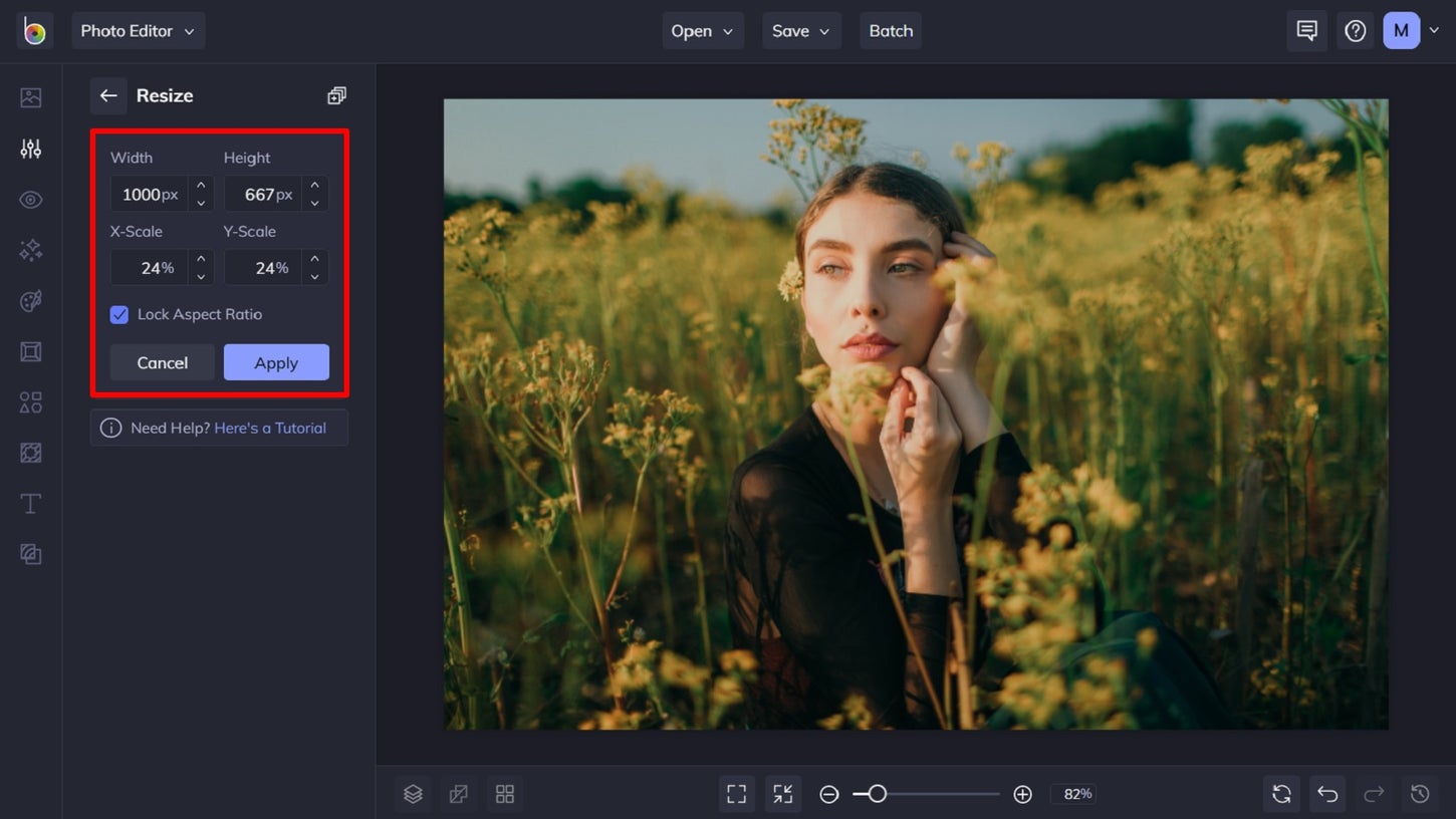 Your Master Guide to Cropping and Resizing Images | Learn BeFunky