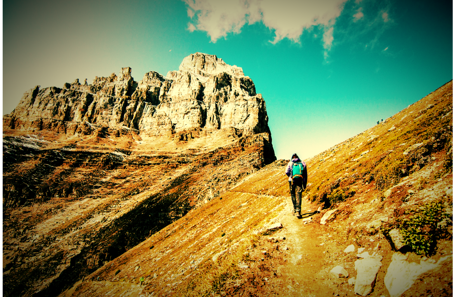 All About Lomo Effects | Learn BeFunky