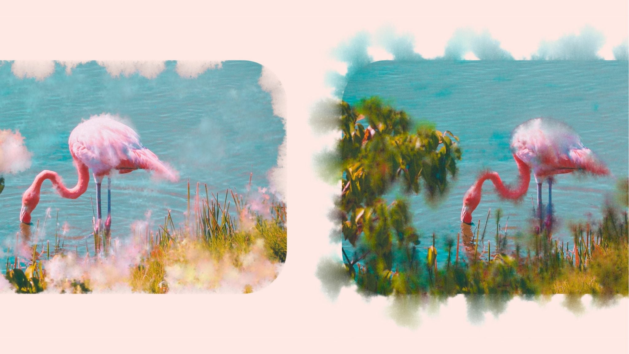 Introducing the New Color Bleed and Volume Light Effects | Learn BeFunky