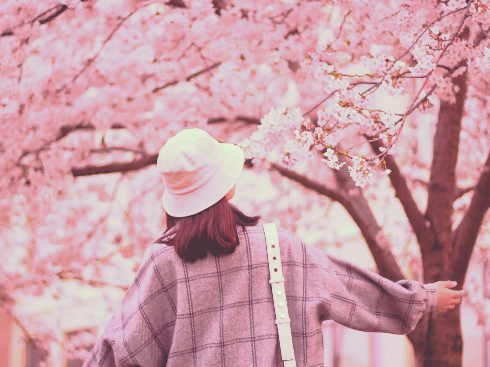 Chromatic Effects for Your Photos | Learn BeFunky