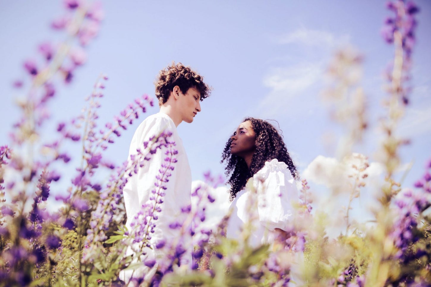 Achieve Award-Winning Photos With These Cinematic Effects | Learn BeFunky