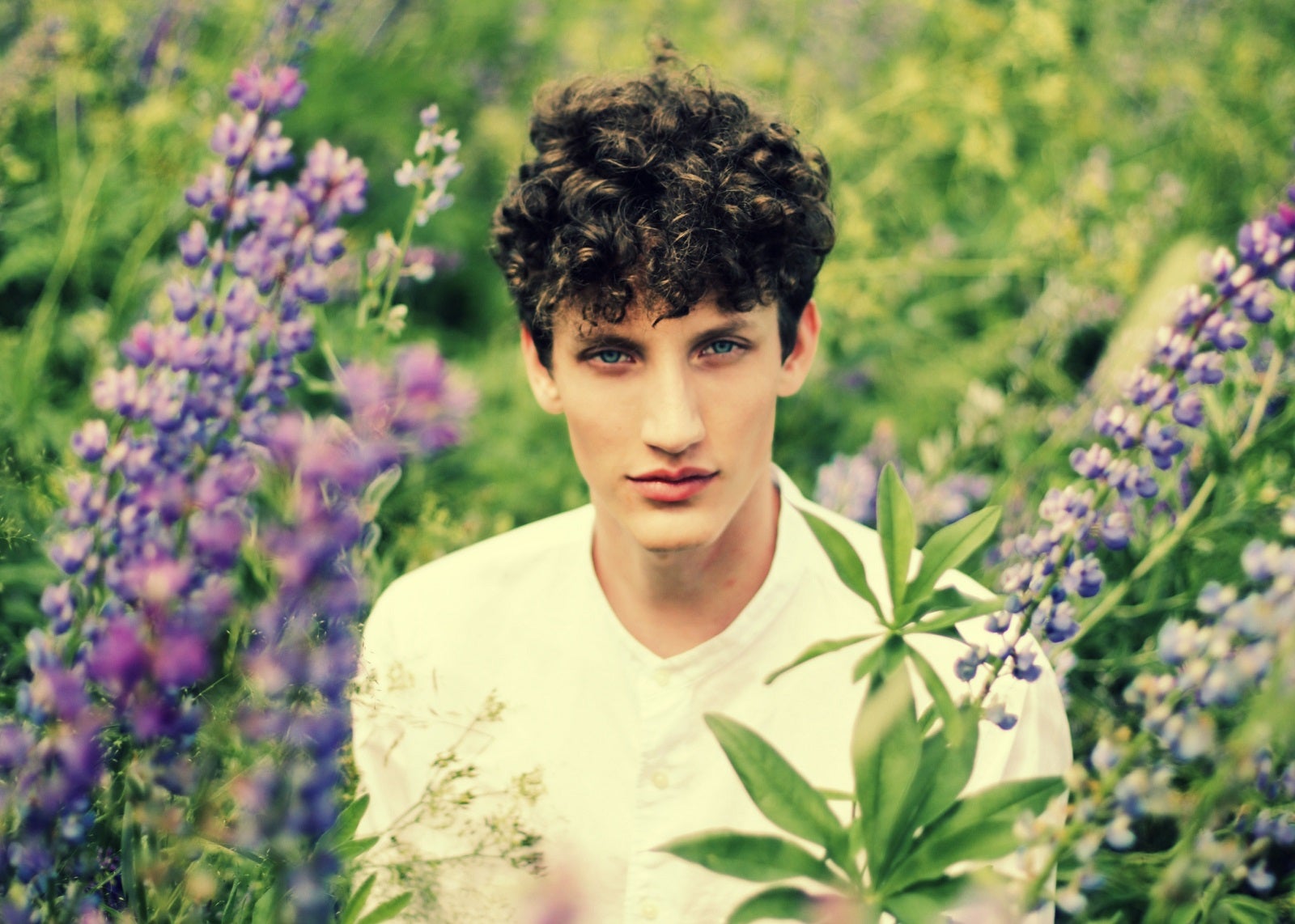 BeFunky’s Digital Cross Processing Effect | Learn BeFunky