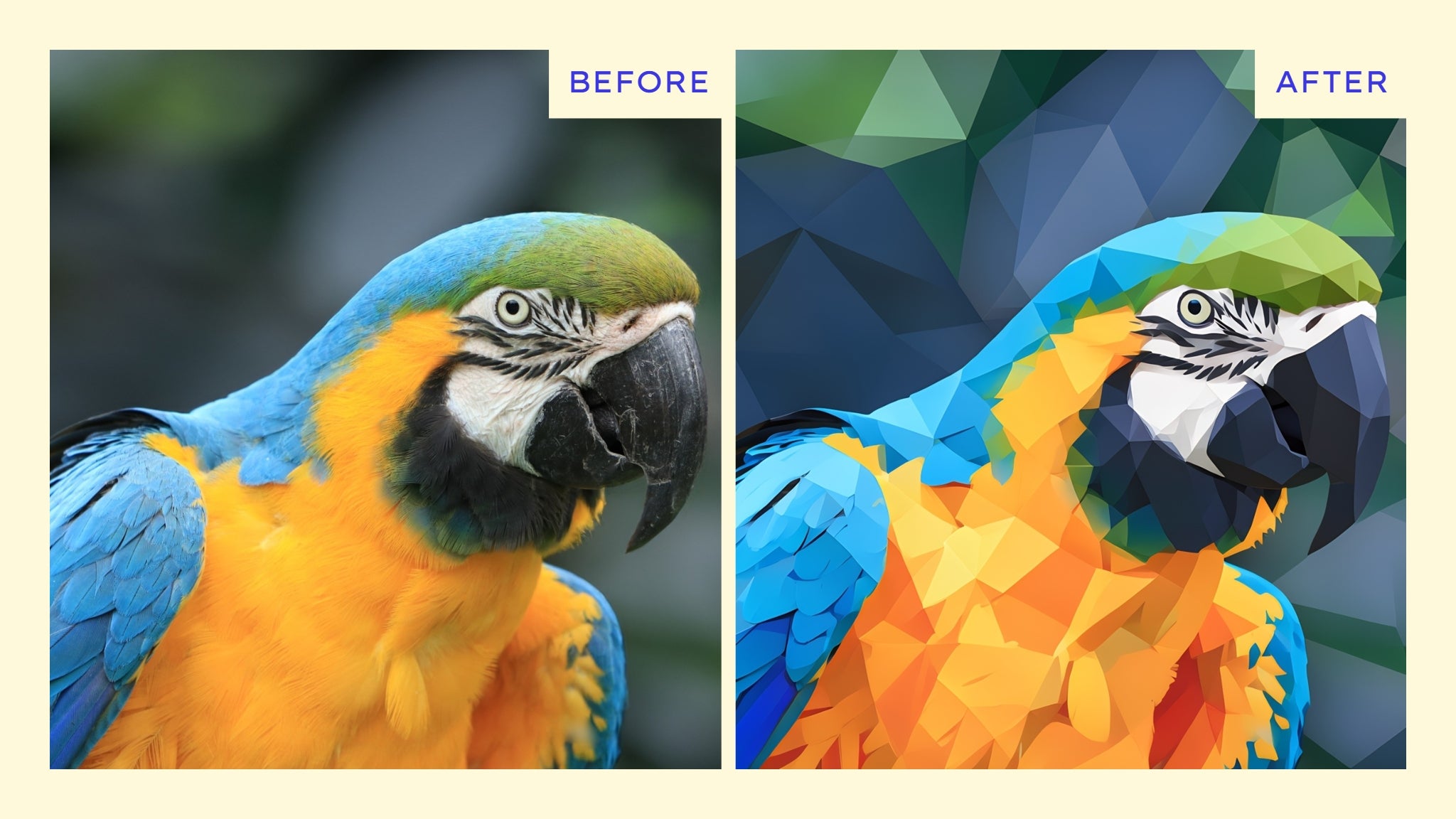 From Photo to Polygon Art, A Simple Step-by-Step Guide | Learn BeFunky