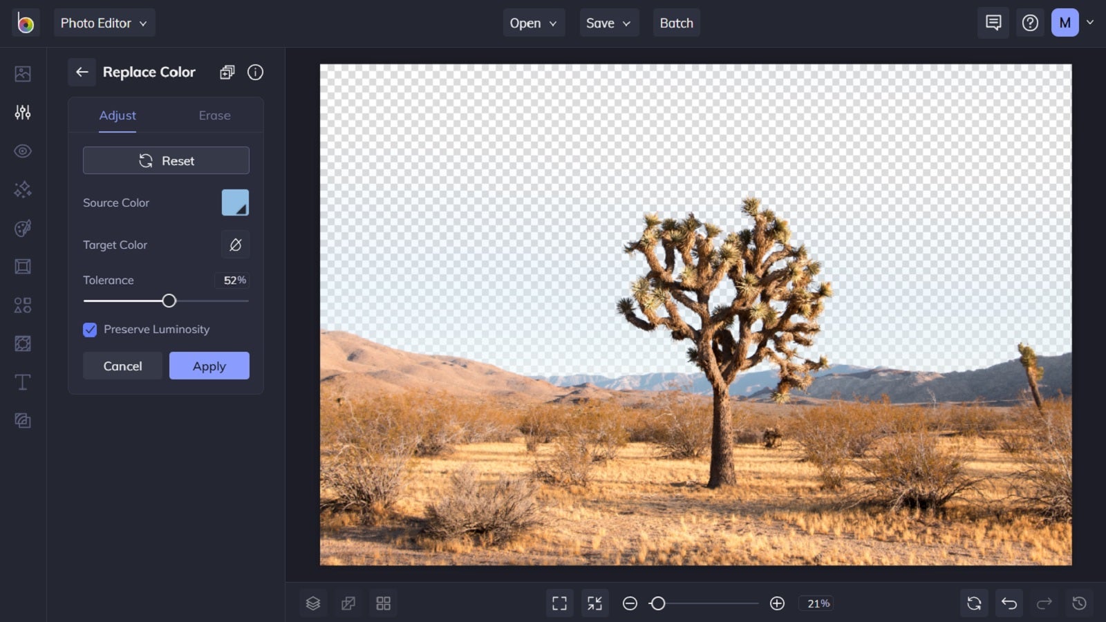 Replace Colors In Seconds With the Replace Color Tool | Learn BeFunky