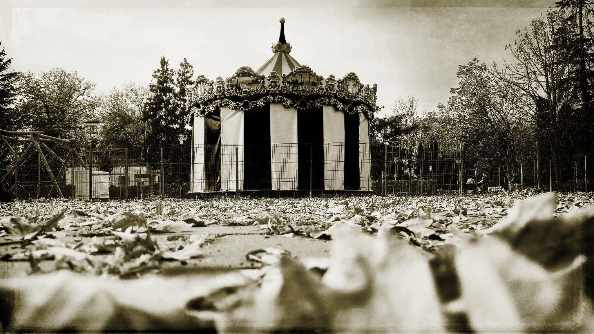 Step Back in Time With the Tintype Effect | Learn BeFunky