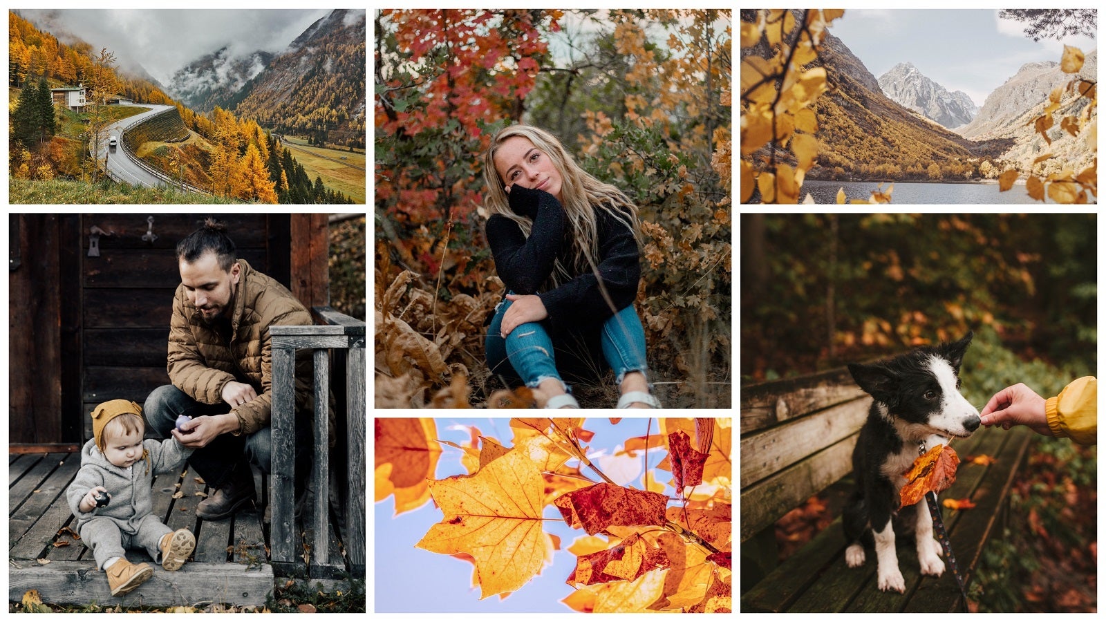 4 Common Collage Mistakes – and How to Fix Them | Learn BeFunky