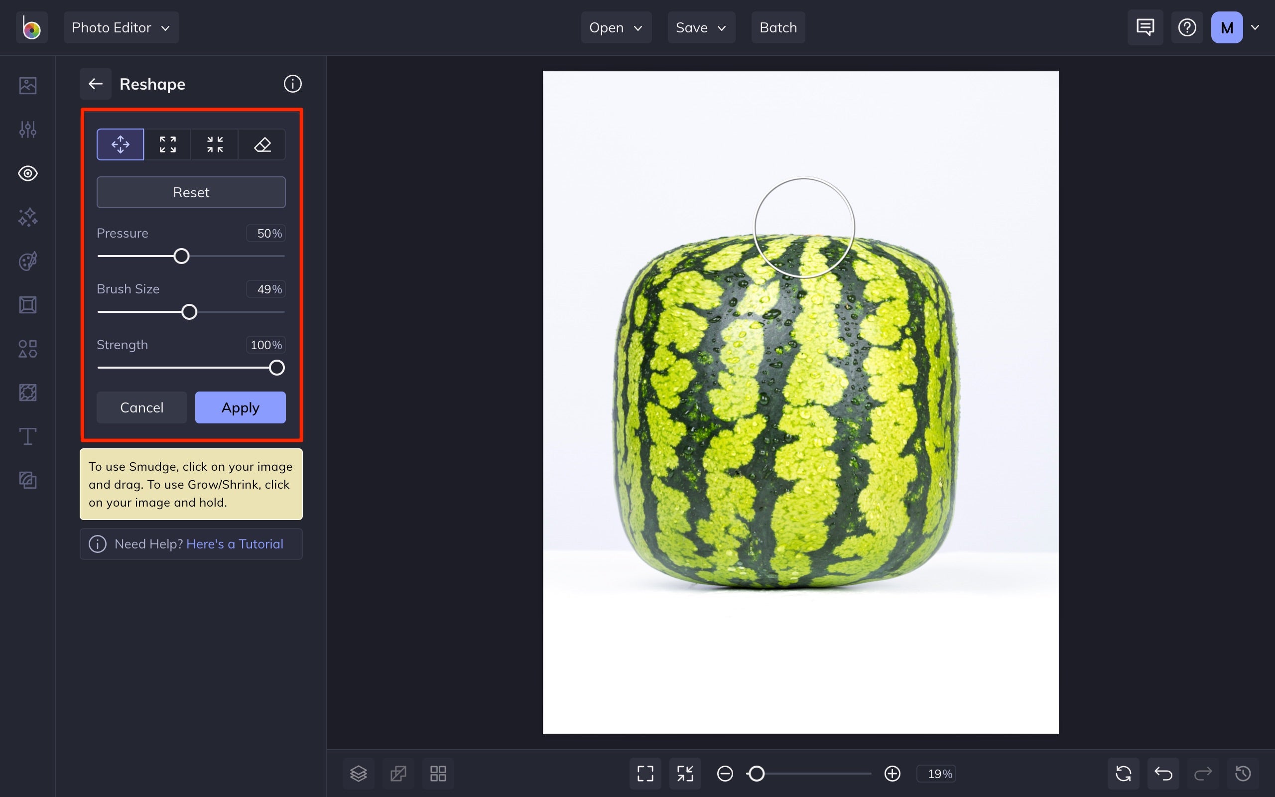 Reshape Photos With the Slimming Tool | Learn BeFunky