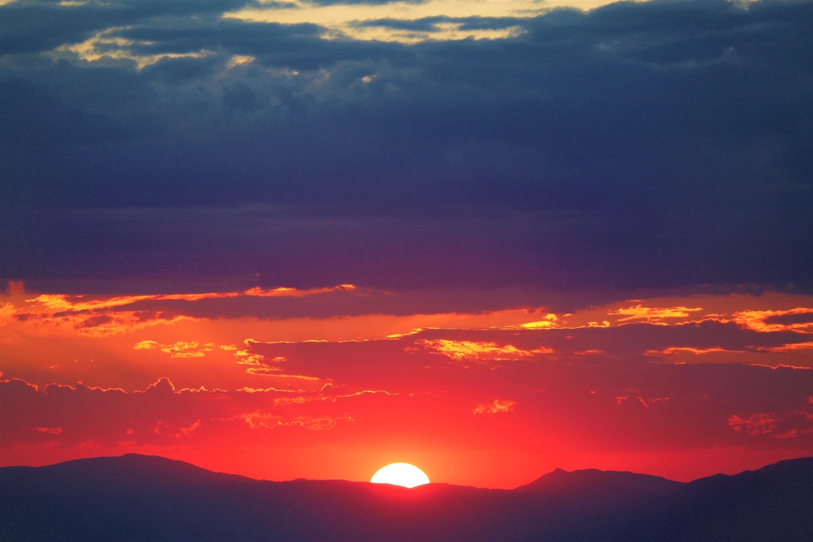 10 Creative Ideas for Summer Photography | Learn BeFunky