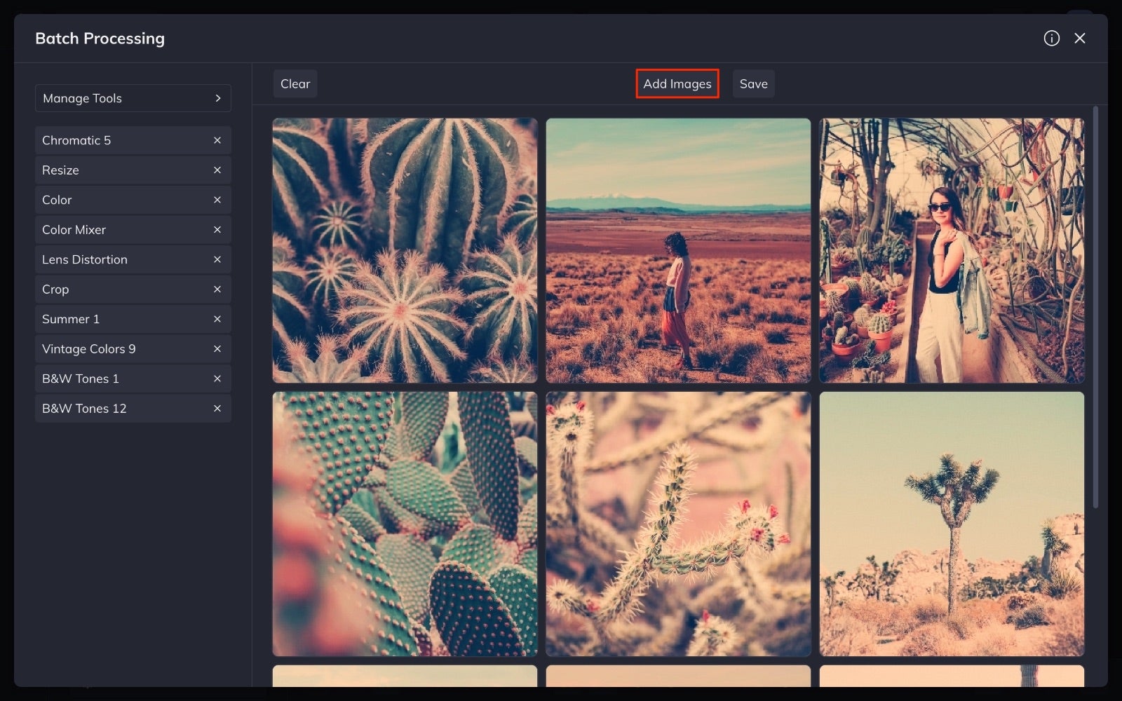 How to Batch Watermark Photos | Learn BeFunky