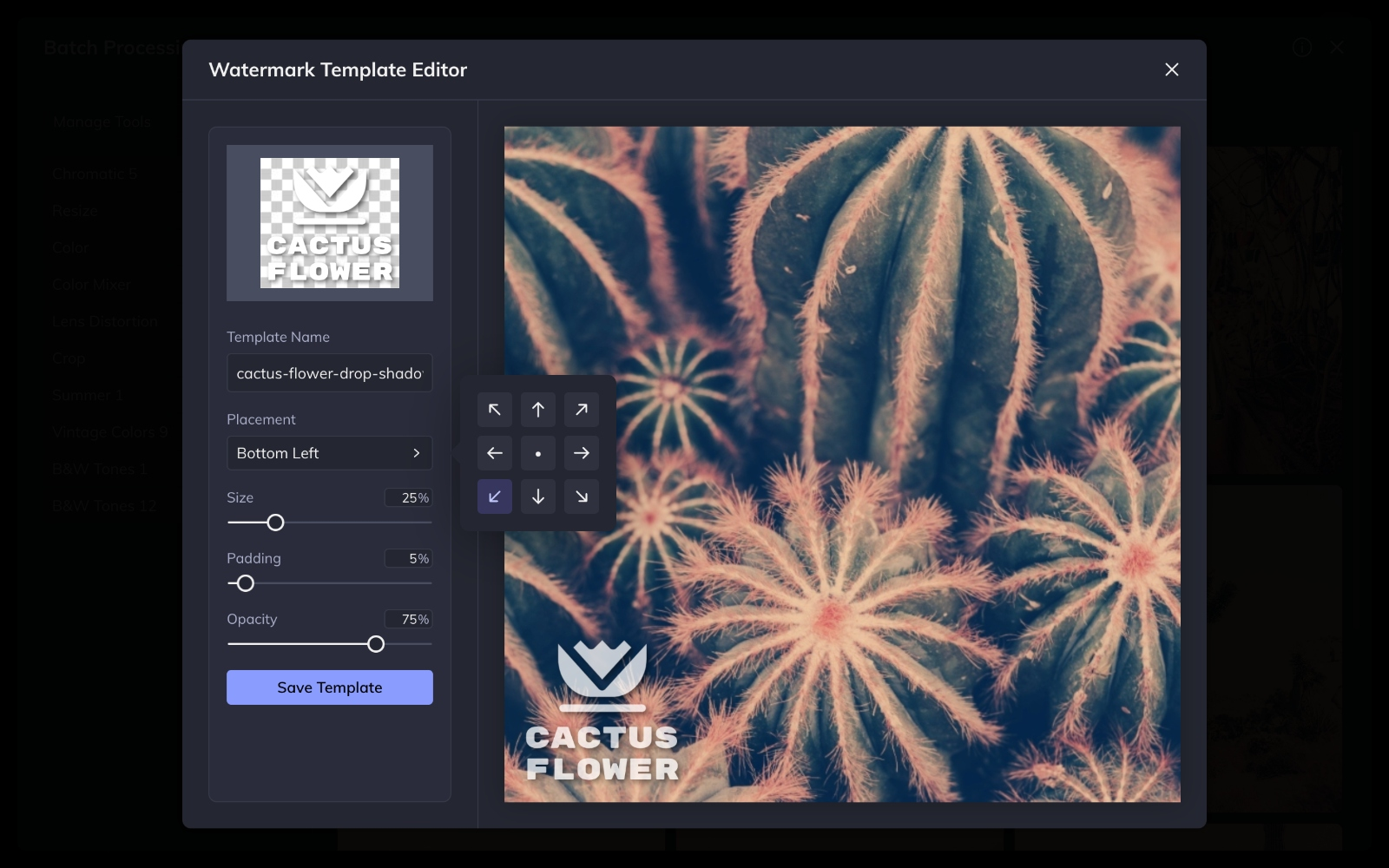 How to Batch Watermark Photos | Learn BeFunky