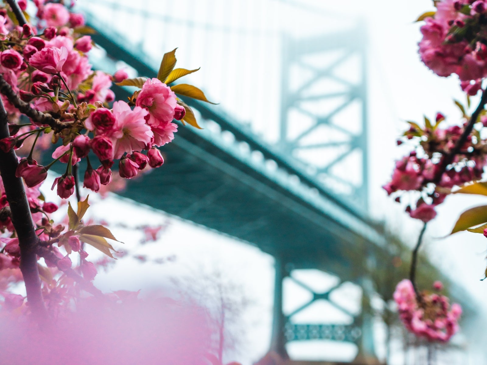 5 Composition Rules for Picture-Perfect Photos | Learn BeFunky